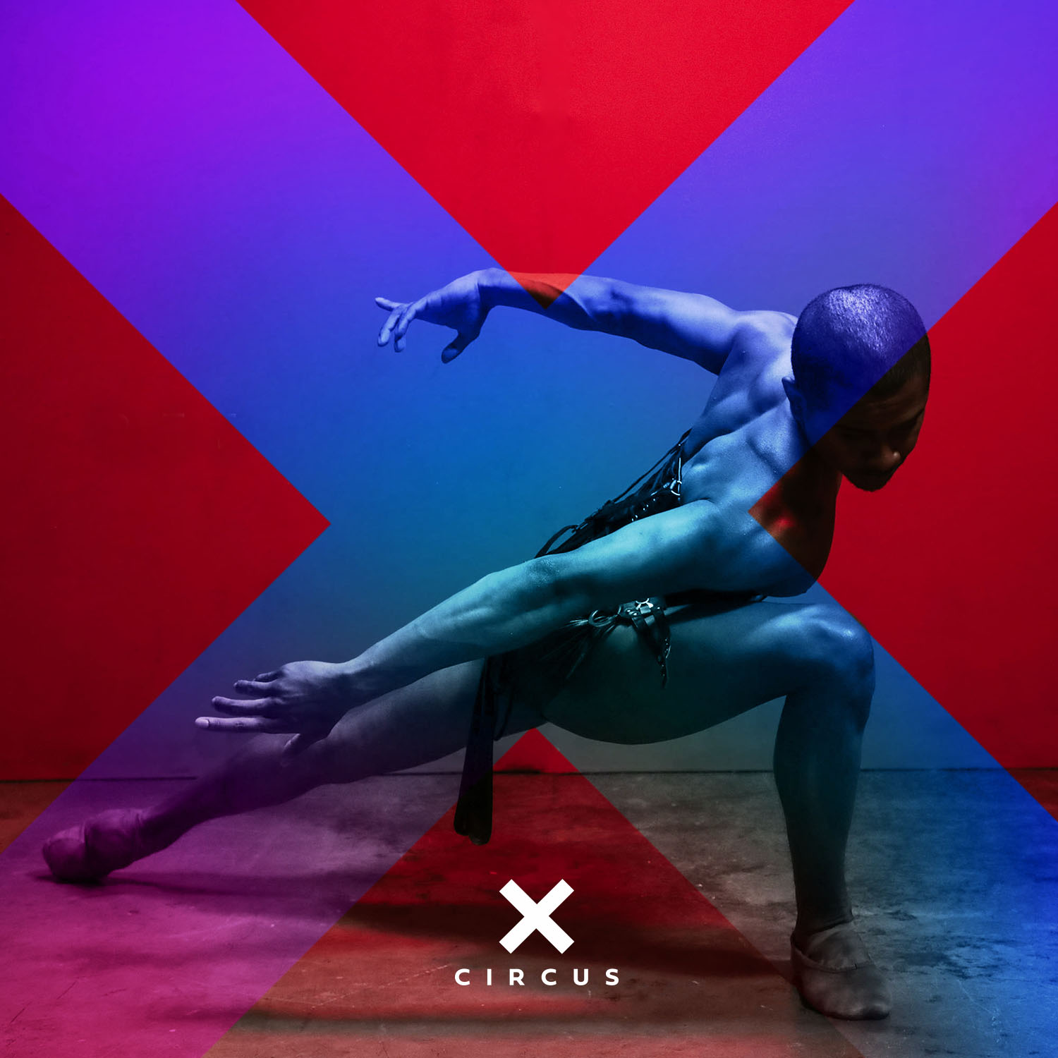 ABOUT US | CIRCUS X